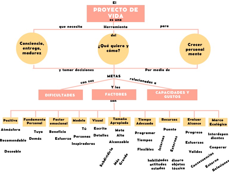 Proyecto de Vida (Mapa Conceptual) | PDF | Ciencia cognitiva | Cognición