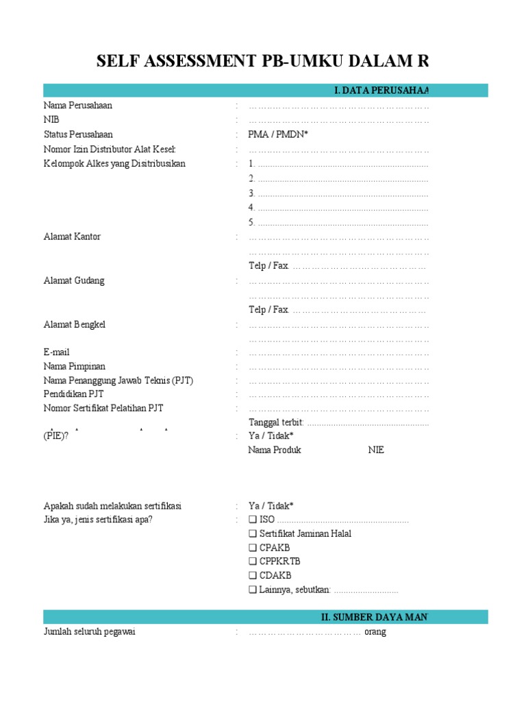 Checklist Self-Assessment CDAKB | PDF