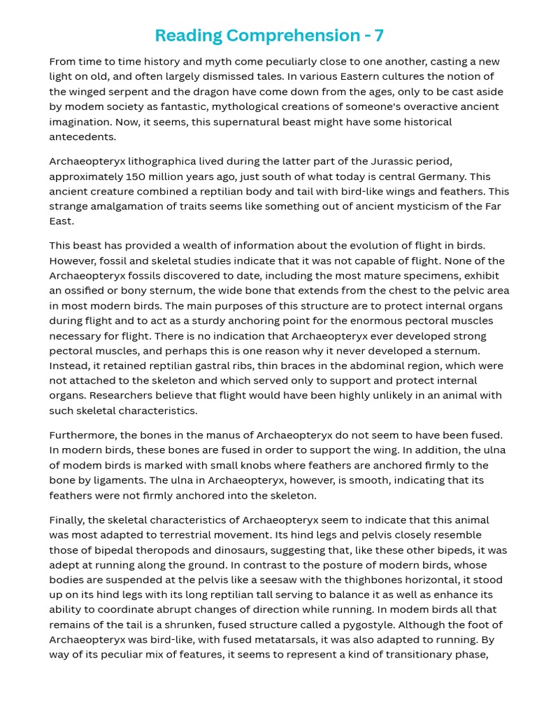 3319426reading Comprehension - Questions | PDF | Birds | Feather