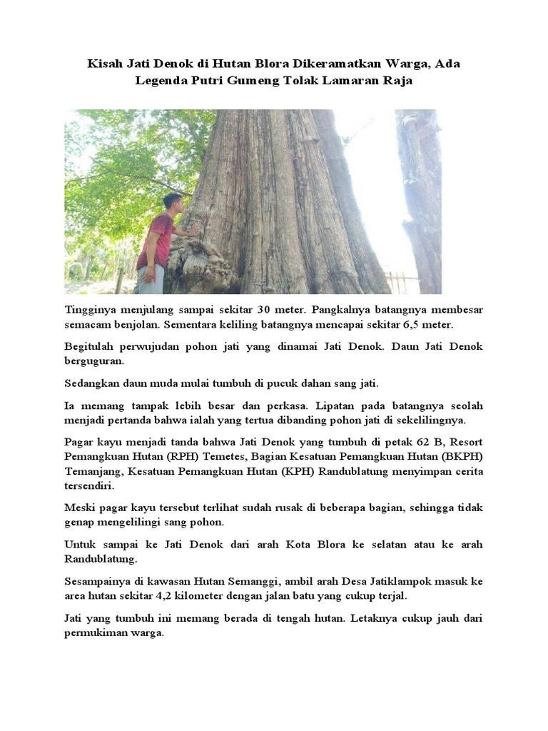 Jati Denok | PDF