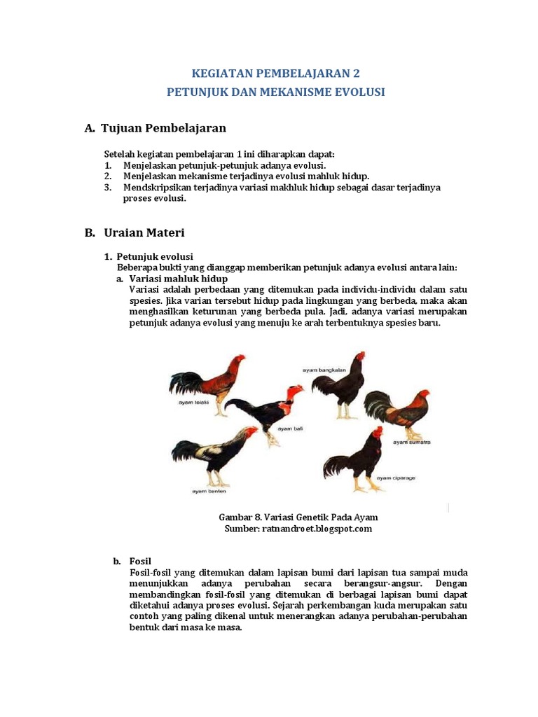 Pembelajaran 2 Petunjuk Dan Mekanisme Evolusi | PDF