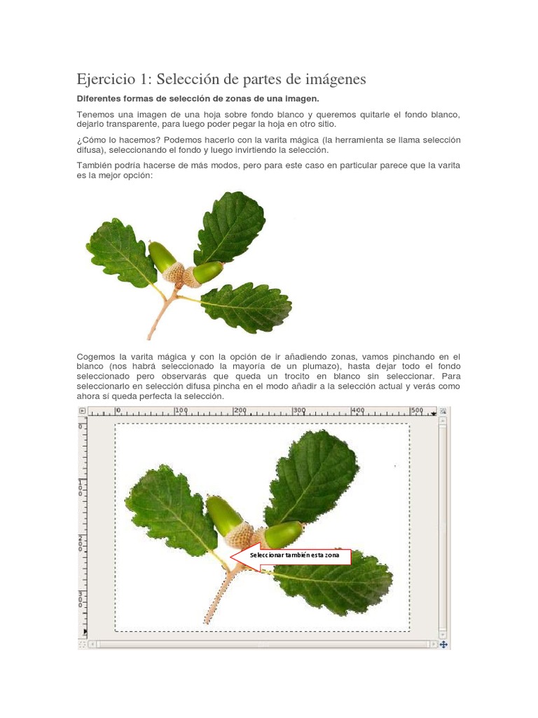 Practicas de Gimp 2 | PDF