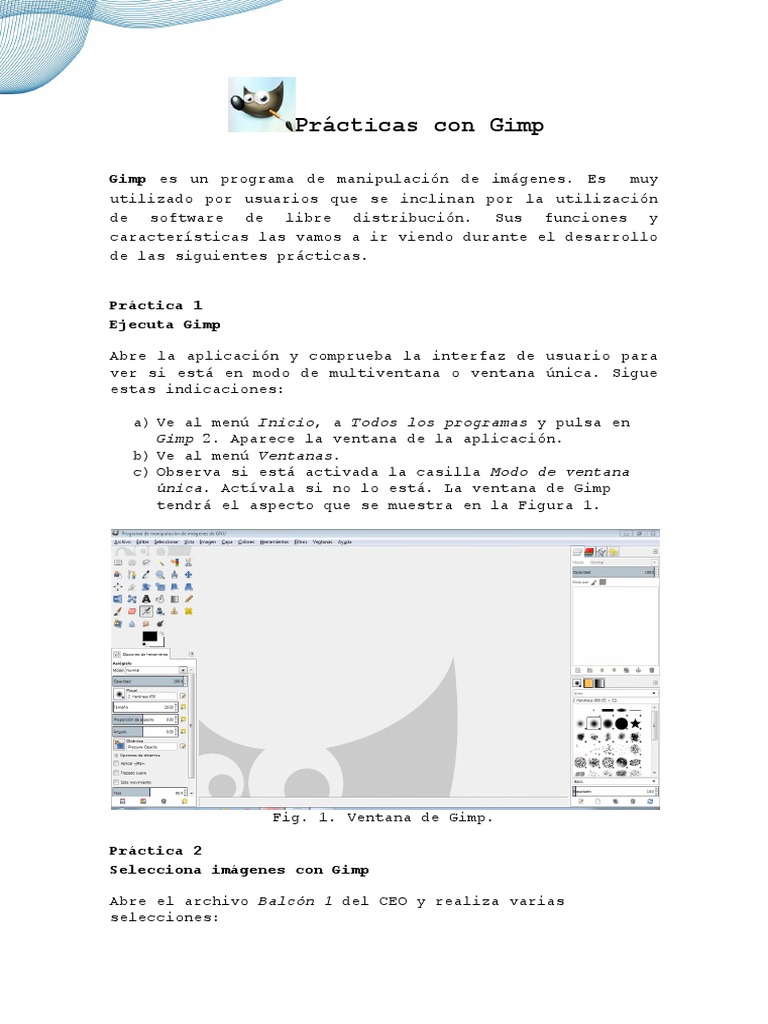 Practicas Con Gimp | PDF | Ventana (informática) | Informática