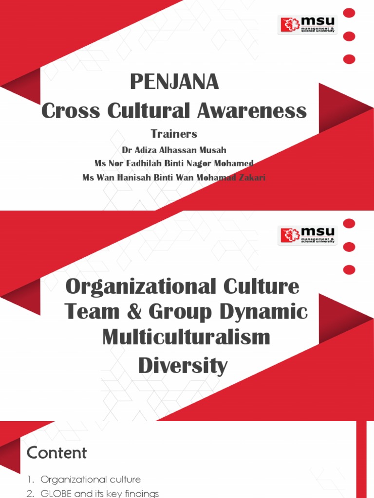 Cross-Cultural Team Dynamics Guide | PDF | Stereotypes | Organizational ...