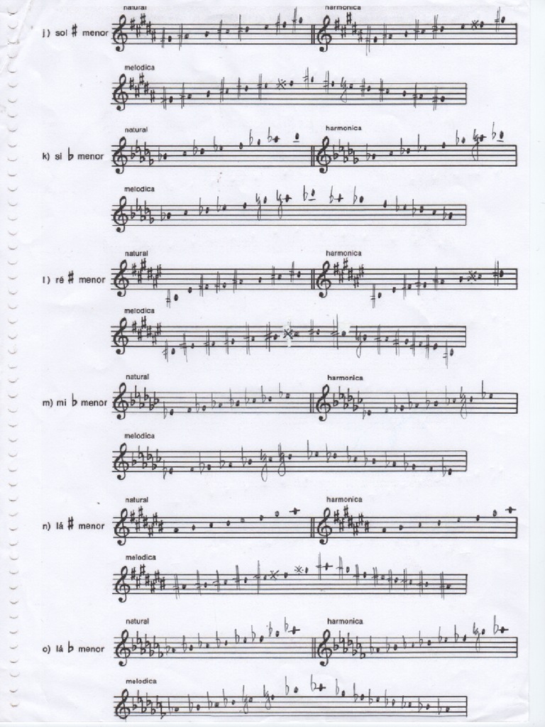 Exercicios Fabi Fonseca 13 | PDF