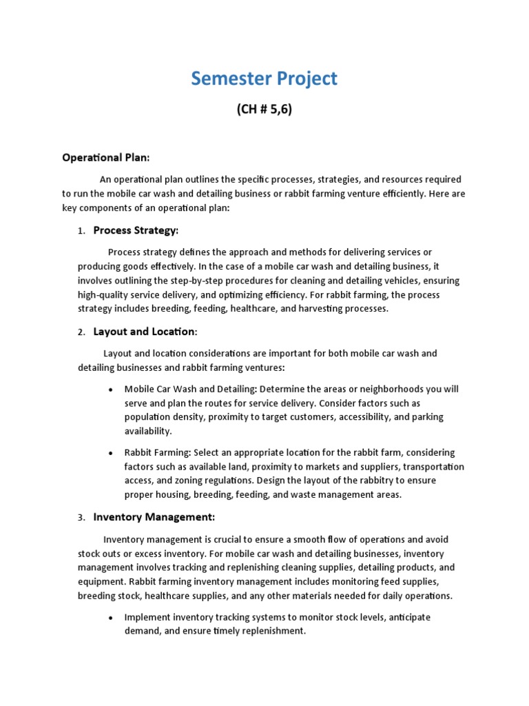 Mobile Car Wash & Detailing Project Part 3 | PDF | Supply Chain | Swot ...