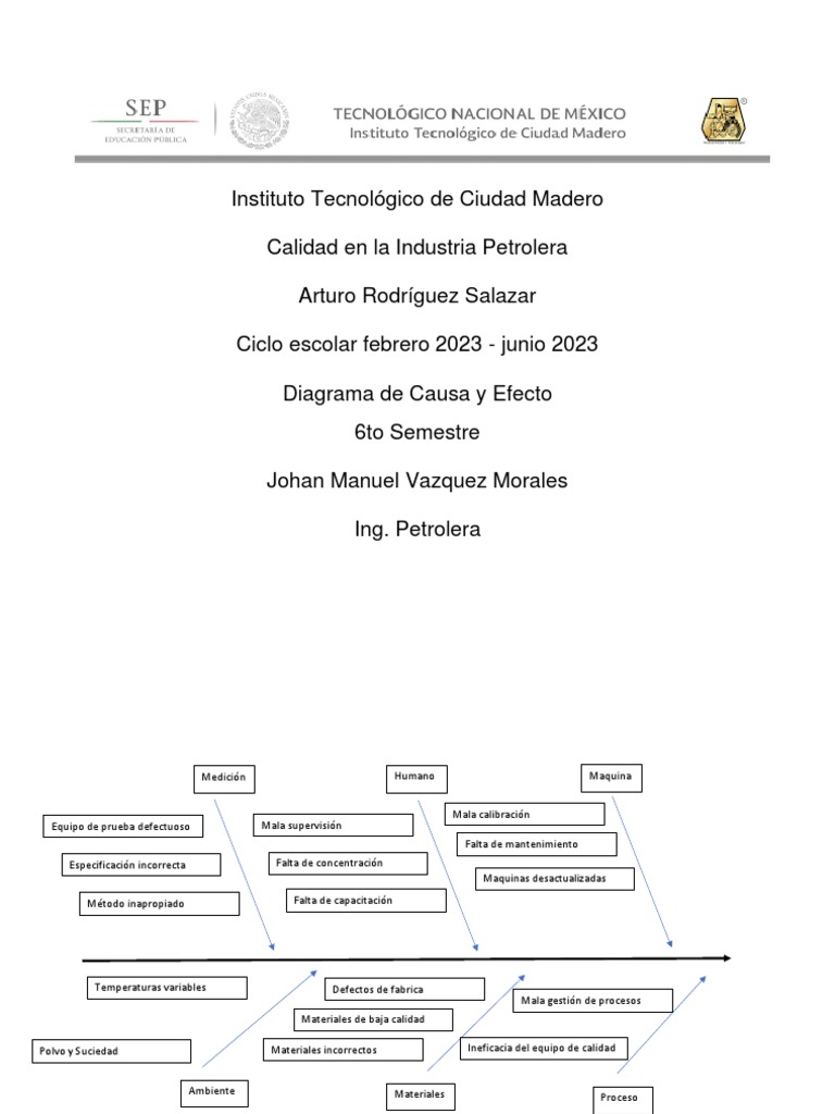 Diagrama de Causa Efecto | PDF
