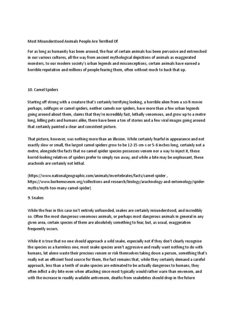 Most Misunderstood Animals | PDF | Spider | Sharks