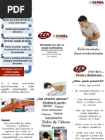 Triptico Edas | PDF | Diarrea | Heces