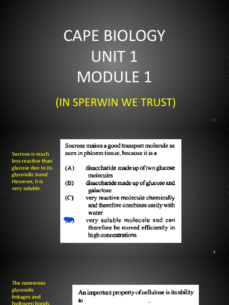 Mega CAPE Unit 1 Bio P1 Collection | PDF | Meiosis | Ploidy