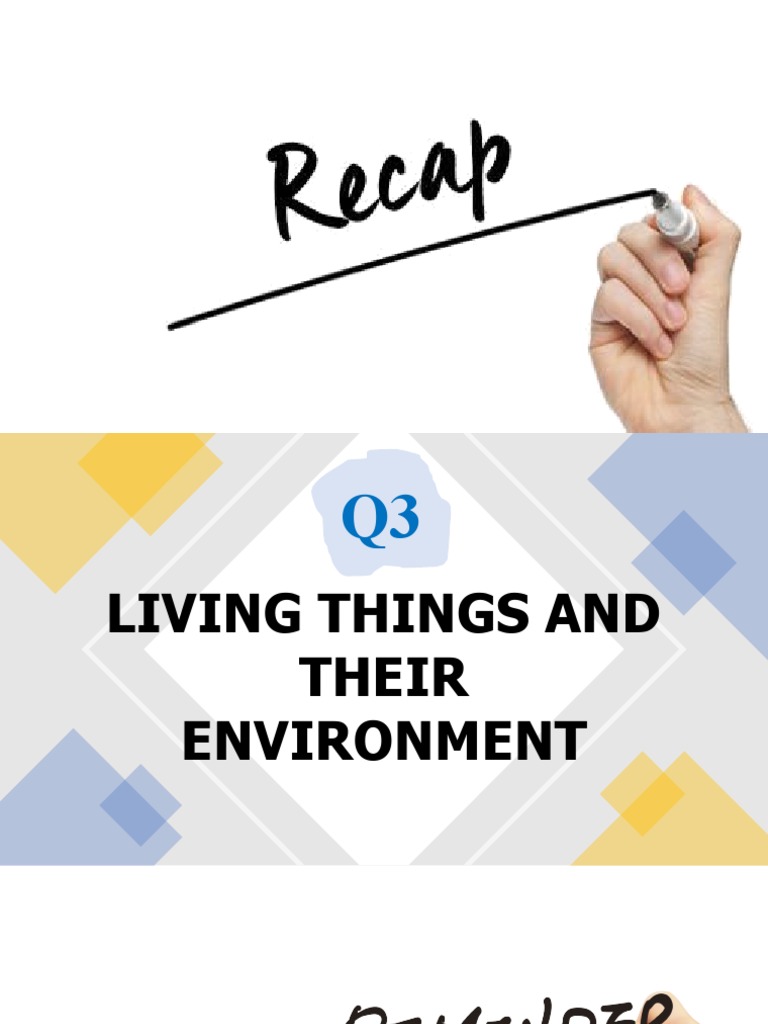 q3 Sci10 Unit1 Feedback Mechanisms | PDF | Nervous System | Central Nervous System