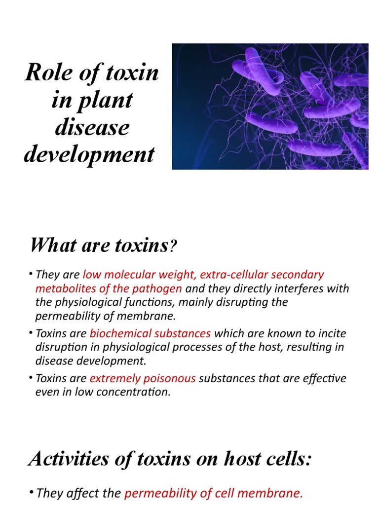 Plant Disease Toxins Overview | PDF | Cell Biology | Medical Specialties