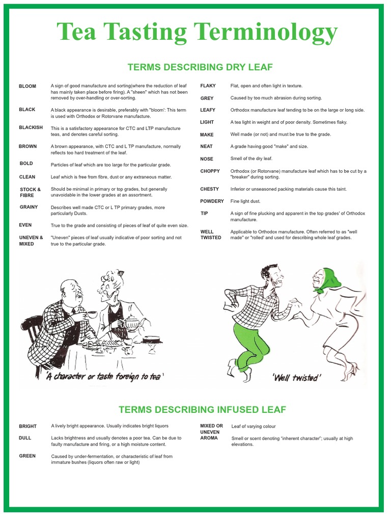 Tea Tasting Terminology Web v2 | PDF | Tea | Odor