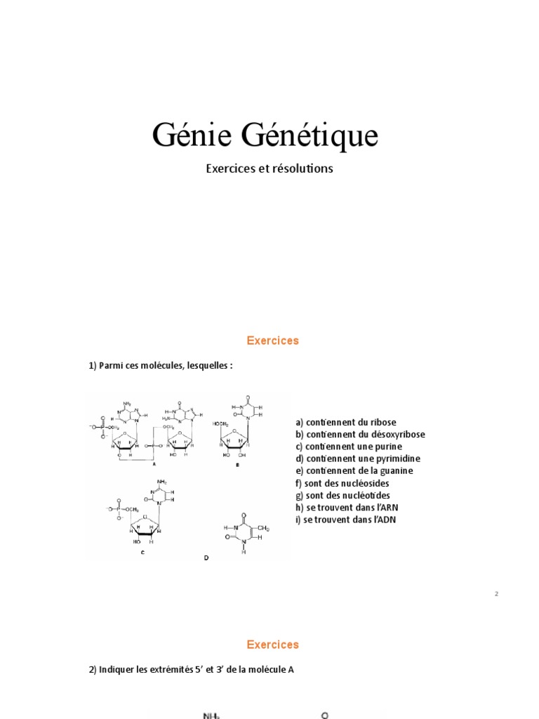 Exercices Corrigés en Génie Génétique | PDF | ADN | Sens 5' vers 3'