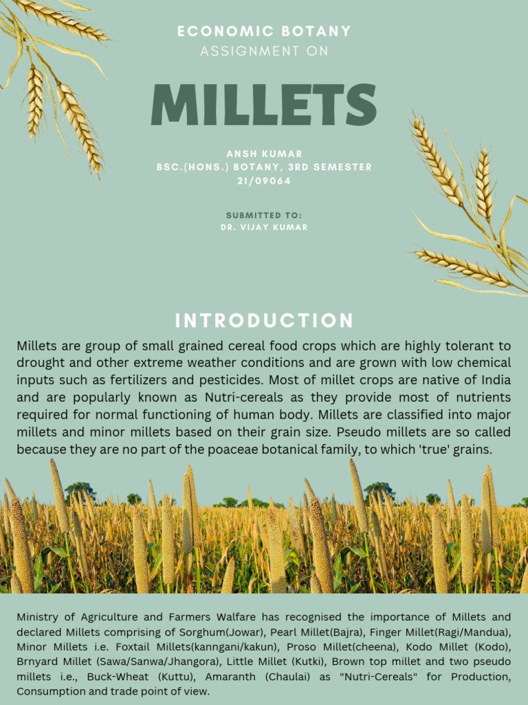 MILLETS | PDF