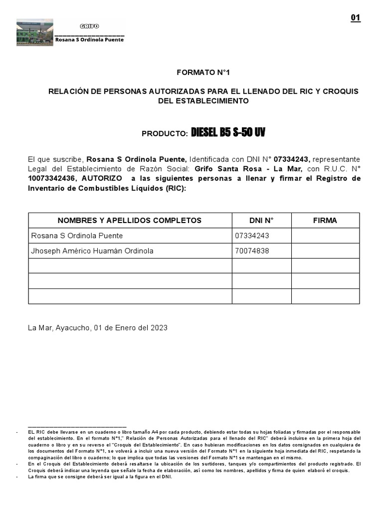 Formato N°1 Ric | Descargar gratis PDF | Autenticación | Control de acceso