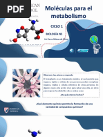 La Síntesis de La UREA | PDF | Urea | Sustancias químicas