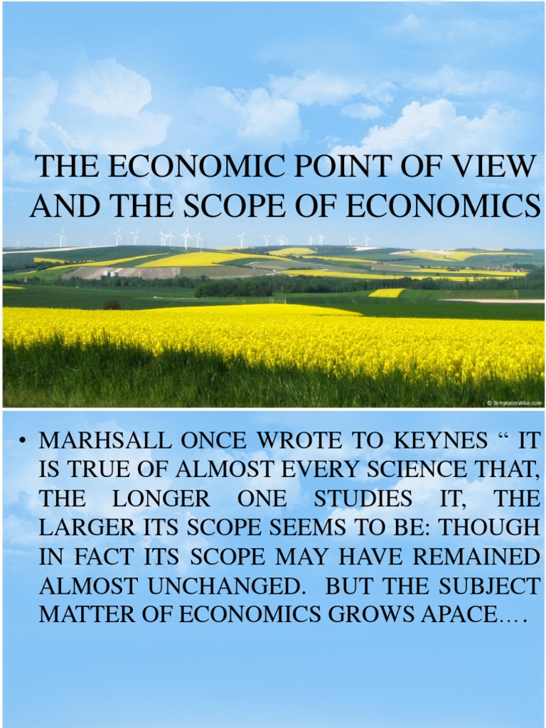 The Economic Point of View | PDF | Wealth | Economics