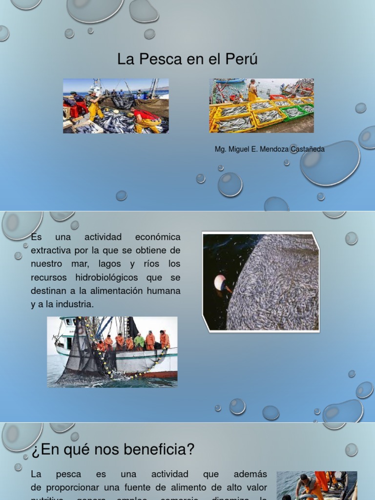 La Pesca en El Perú | PDF | Perú | Mar