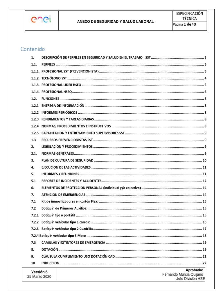 ANEXO 2 Seguridad y Salud Laboral | PDF | Seguridad y salud ocupacional | Valores