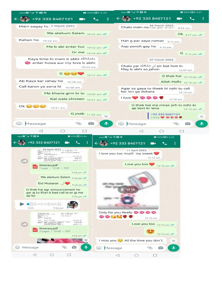 Whatsapp Chat | PDF