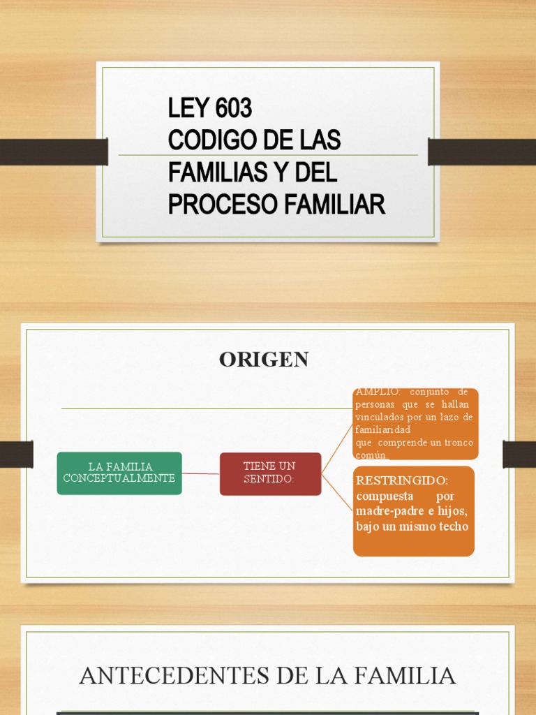 Ley 603 Codigo de Las Familias y Del Proceso Familiar Capacitacion | PDF | Divorcio | Justicia