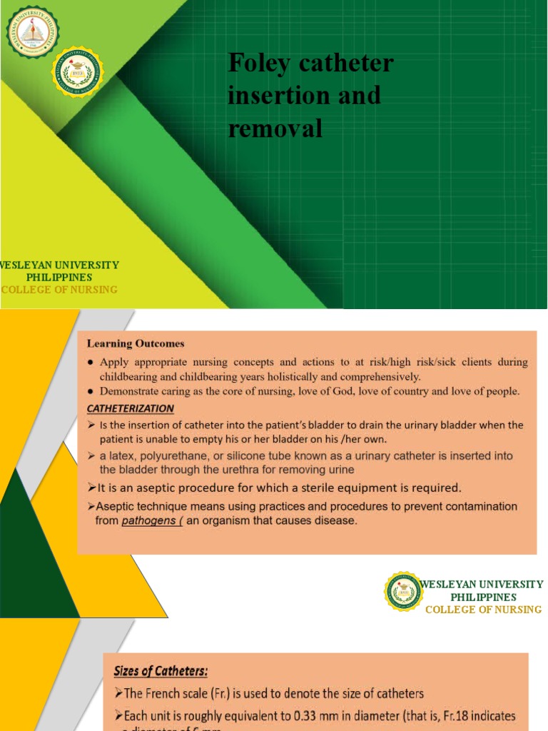 Foley Catheter Insertion Guide | PDF