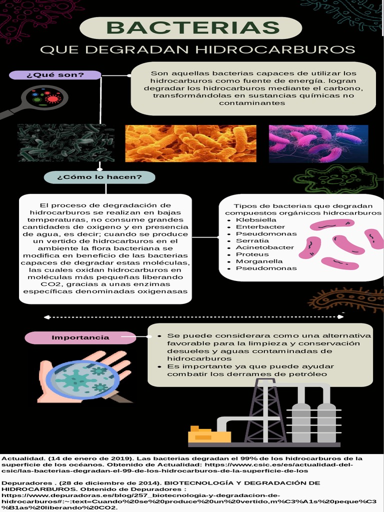 Infografía Bacterias | PDF | Hidrocarburos | Las bacterias
