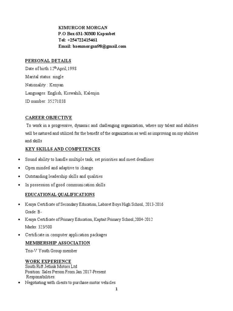 Kenyan Sales Professional CV | PDF