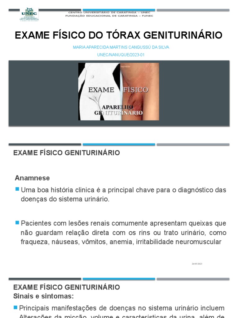 Aula 10 - 4º P. - Exame Genitourinário - 2023-01 | PDF | Micção | Urina