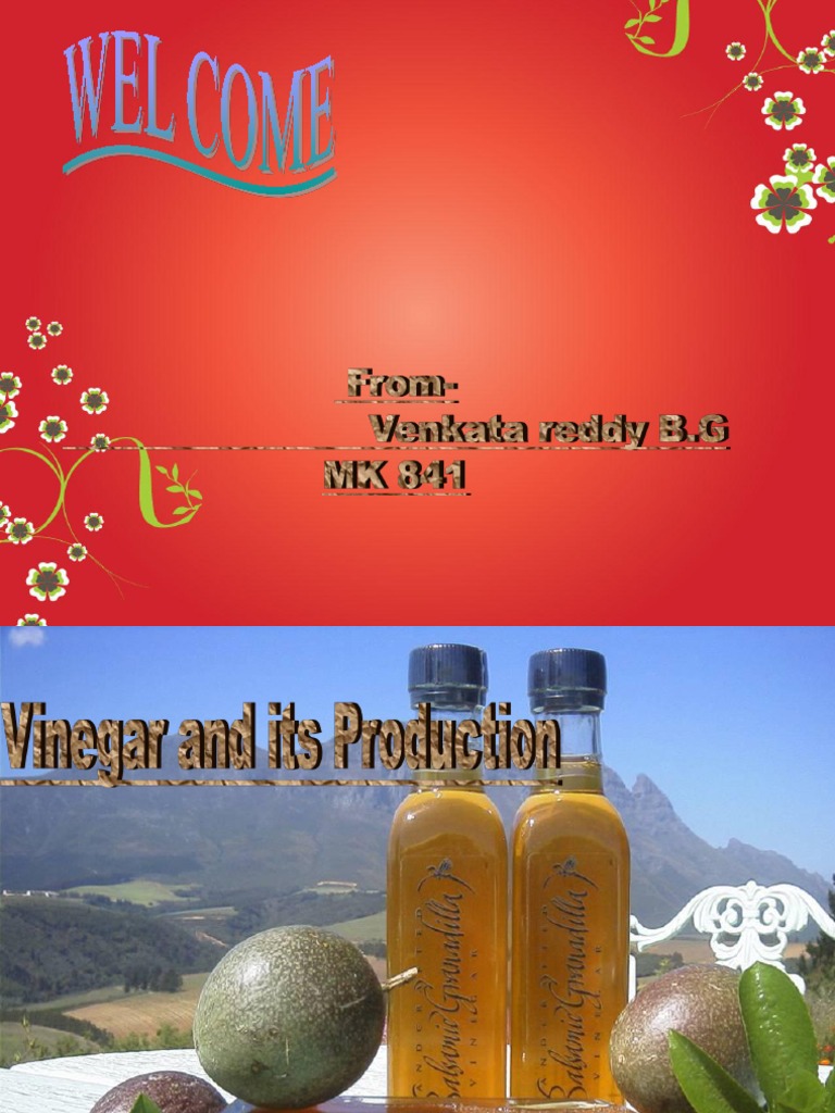 Vinegar Production Methods Explained | PDF | Vinegar | Acetic Acid