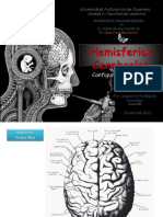 El Colículo Superior | PDF | Anatomía humana | Neurociencia