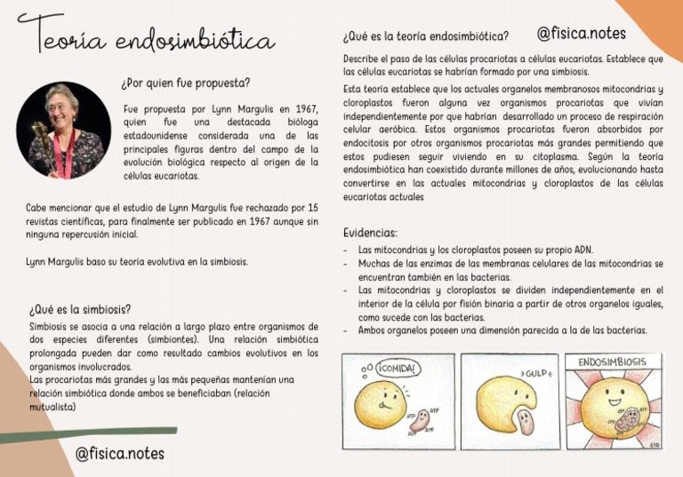 Teoría Endosimbiótica | PDF | Simbiosis | Biología Celular)