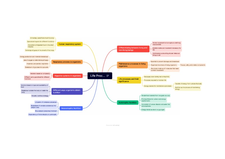 06 Life Processes MIndmap | PDF