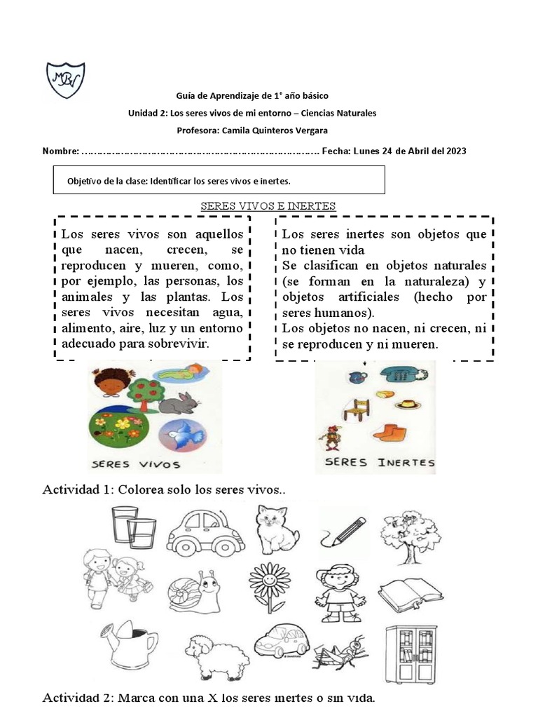 Guia de Los Seres Vivos e Inertes | PDF