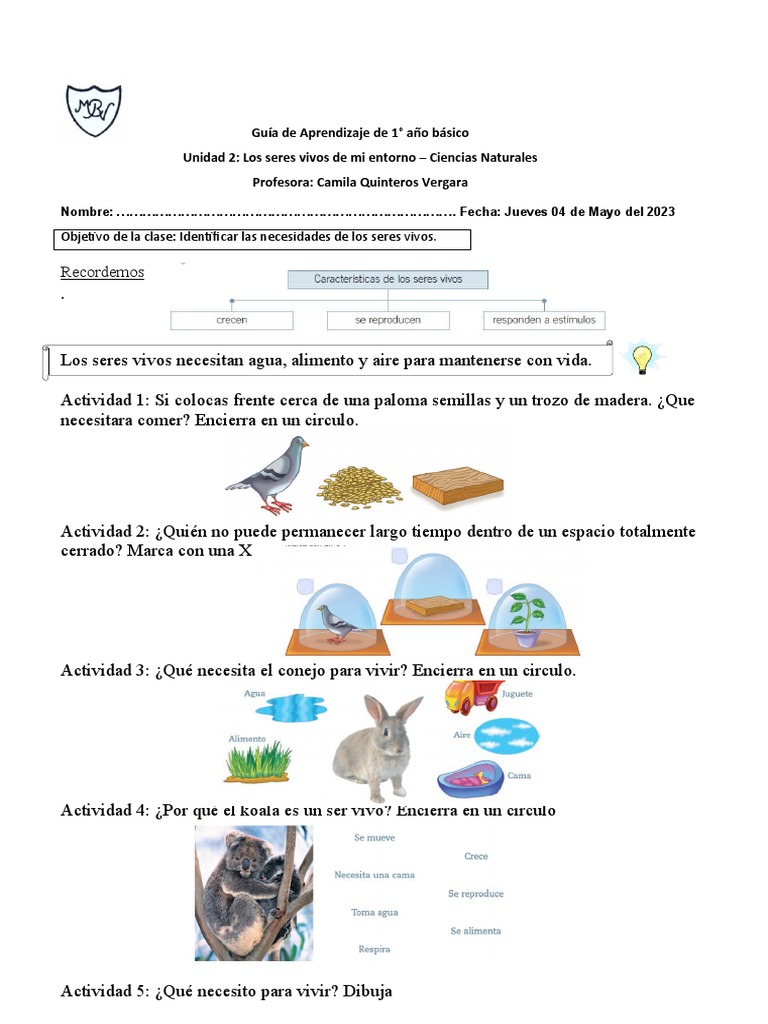 Necesidades de los Seres Vivos en 1° Básico | PDF