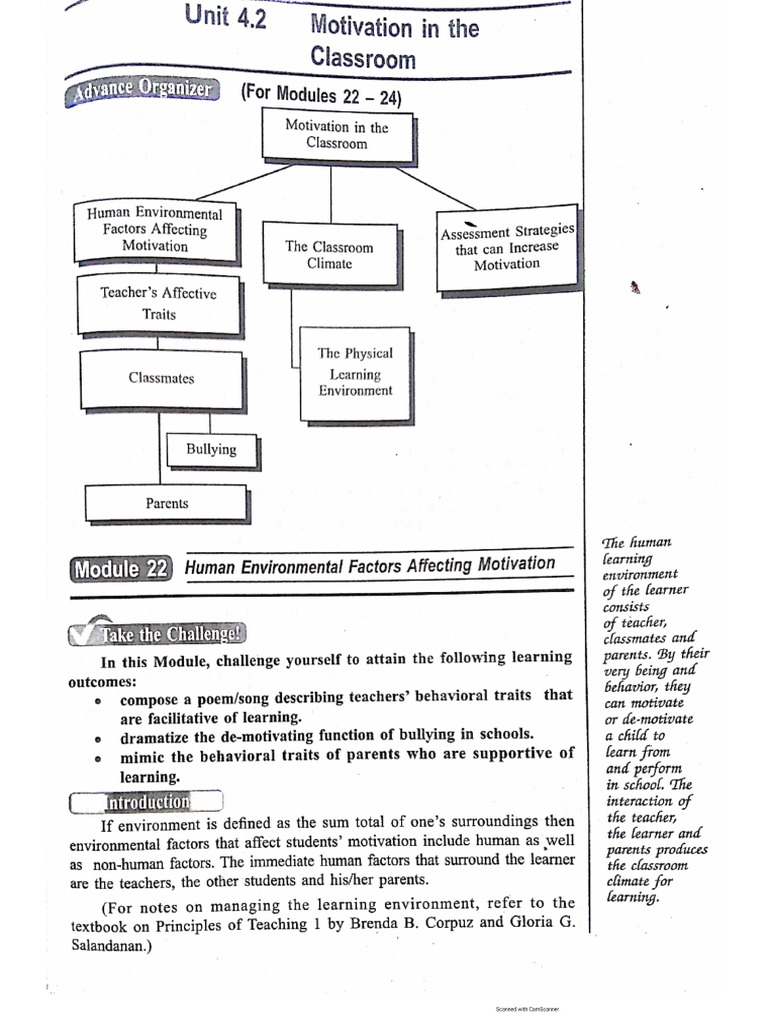 Human Environmental Factors Affecting Motivation | PDF