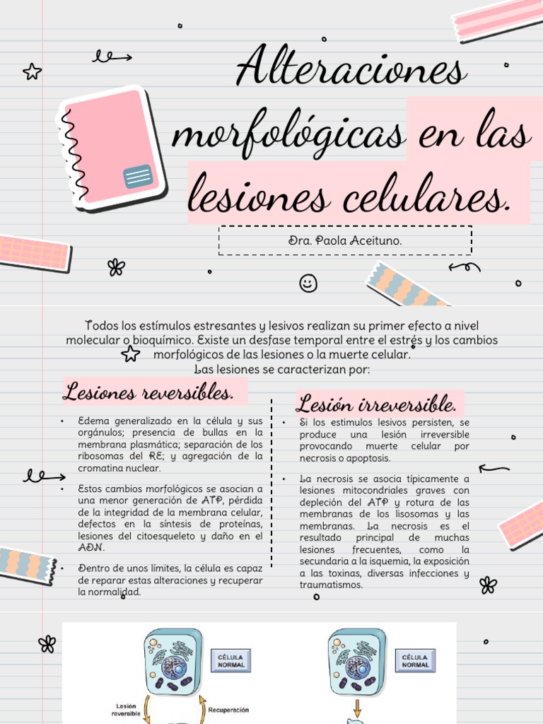 Clase 2 Lesion Cel | PDF | Apoptosis | Biología Celular)