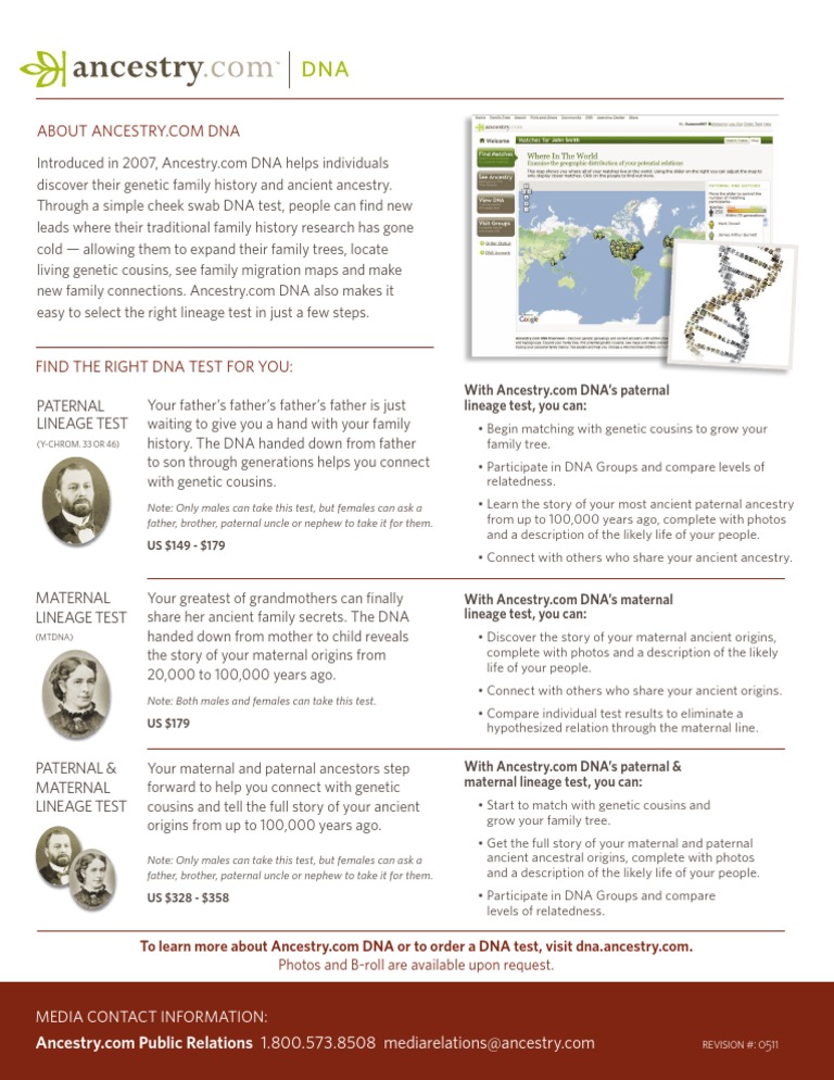 DNA Fact Sheet | Download Free PDF | Genealogy | Evolutionary Biology