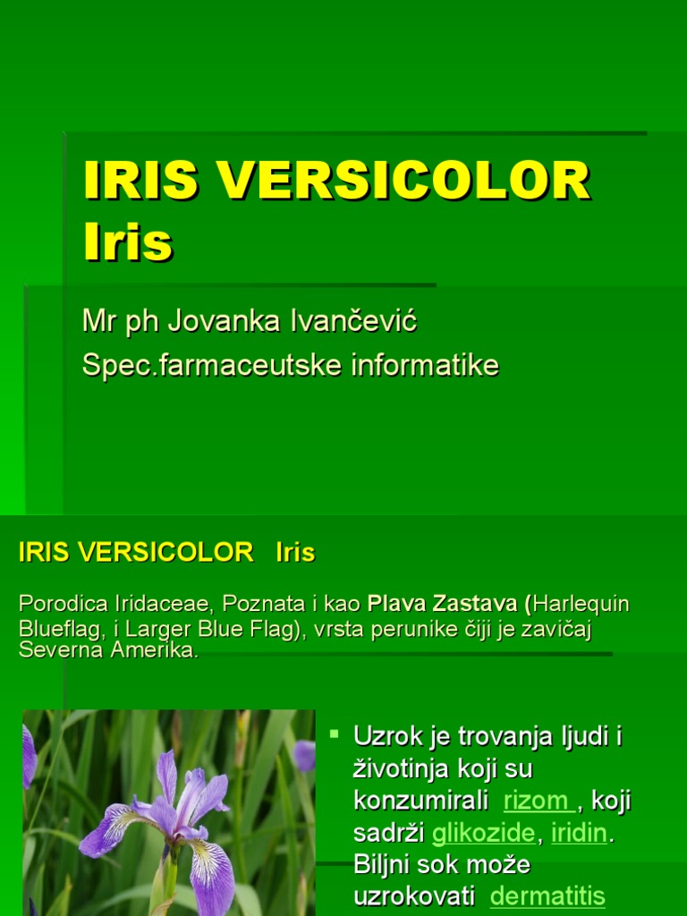 Iris Versicolor | PDF