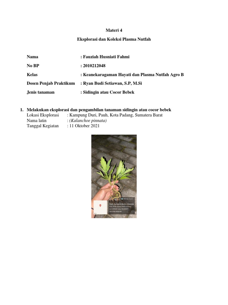 Eksplorasi Dan Koleksi Plasma Nutfah | PDF