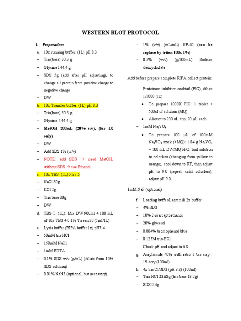 Western Blot Protocol Guide | PDF | Gel Electrophoresis | Chemistry