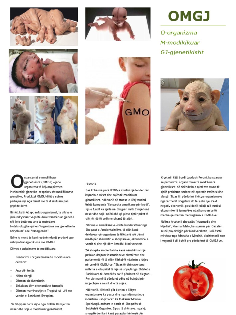 Omgj Fletepalosje 1 | PDF