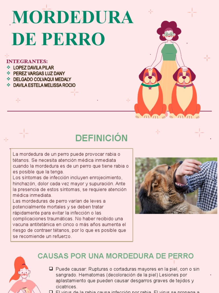Mordedura de Perro | PDF | Rabia | Herida
