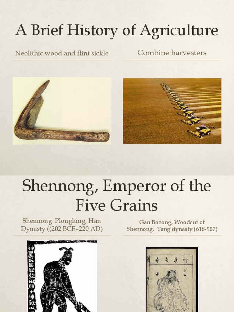 Brief History of Agriculture | PDF | Agriculture | Cereals