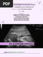 OLIGOHIDRAMNIOS y POLIHIDRAMNIOS. Maria Marquez-1 | PDF | Feto | Parto ...