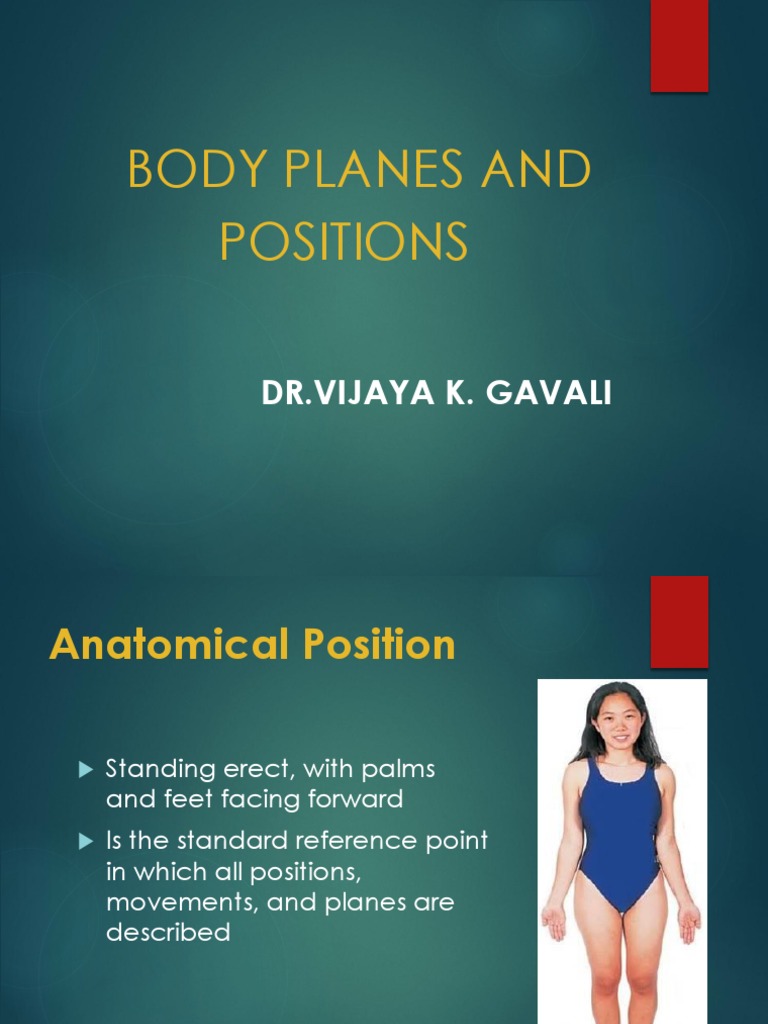 Anatomical Positions Definition With Diagram Examples Its Terminology ...