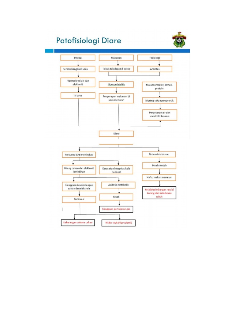 Patofisiologi diare | PDF