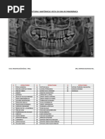1 Region Superciliar | PDF | Cráneo | Anatomía humana
