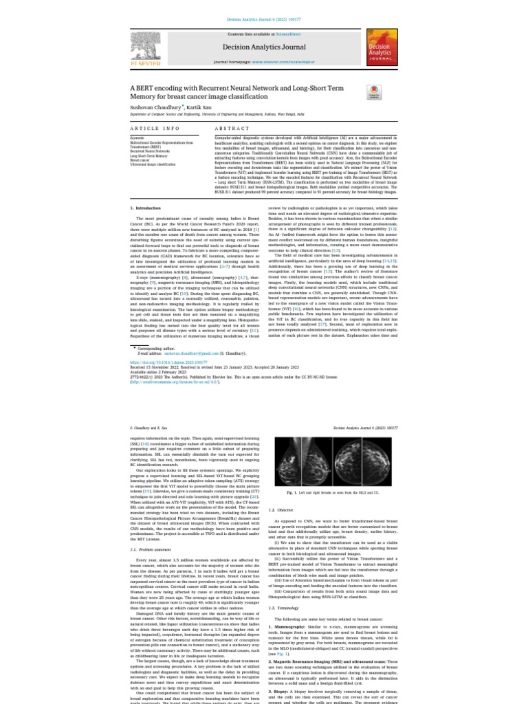 A Bert Encoding With Recurrent Neural Network And Long Short Term Memory For Breast Cancer Image 